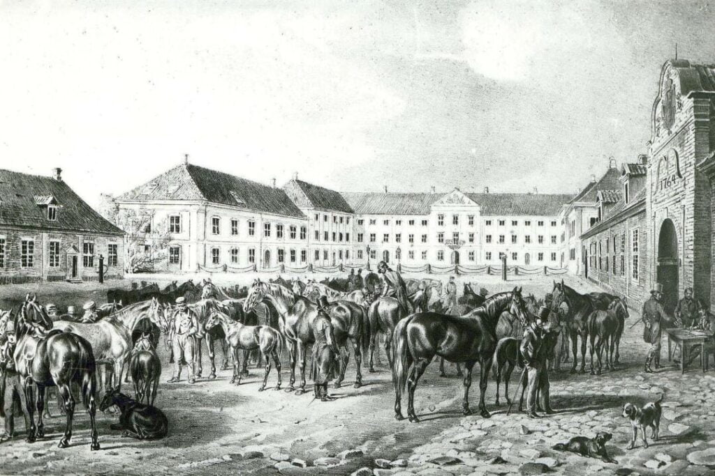 Augustenborg Palace – The Augustenborg Guide